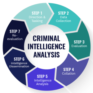 Understanding Criminal Intelligence: A Deep Dive | Cognyte