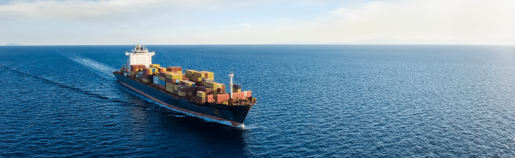 Maritime Domain Awareness Solutions | Cognyte
